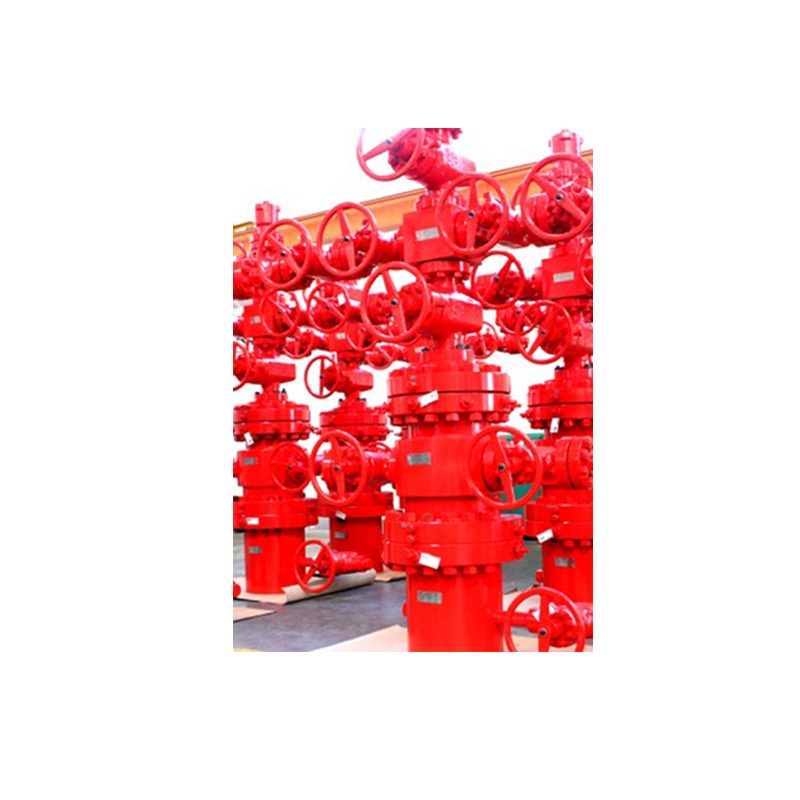 Wellhead and christmas tree,PSL1-PSL4,AA, BB, CC, DD, EE, FF,HH